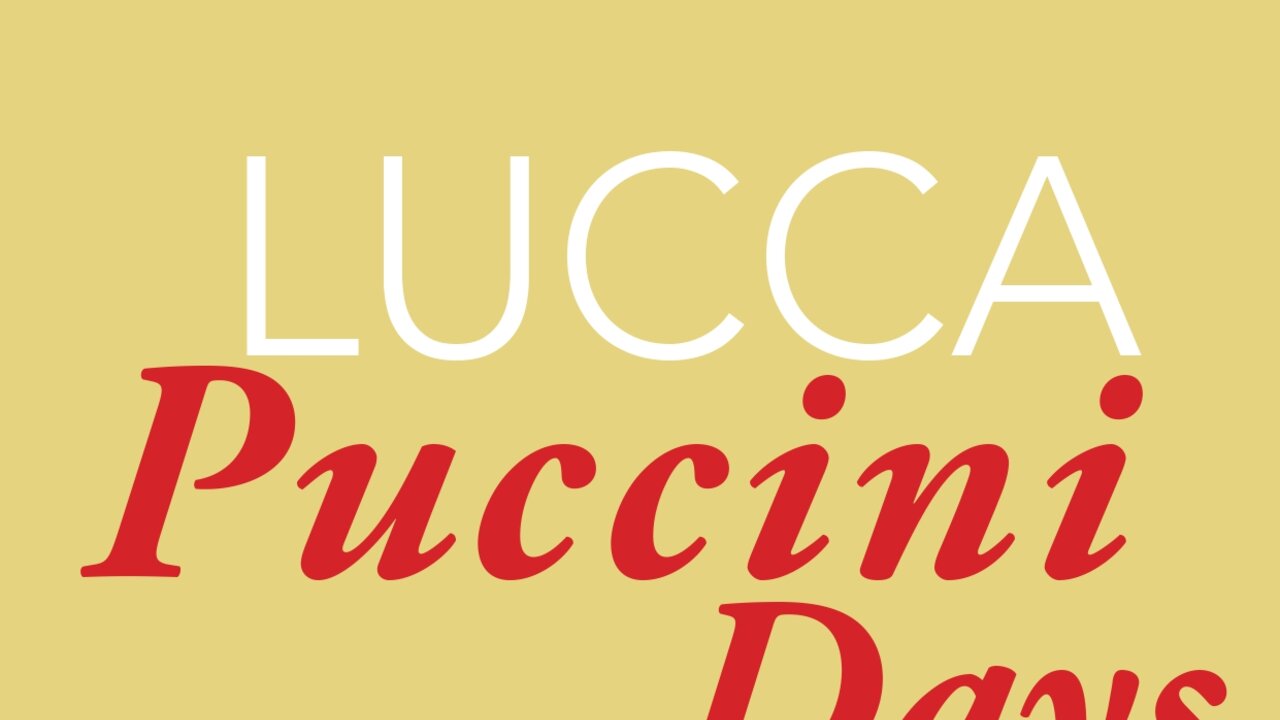 Claudiano Pallottini - organo